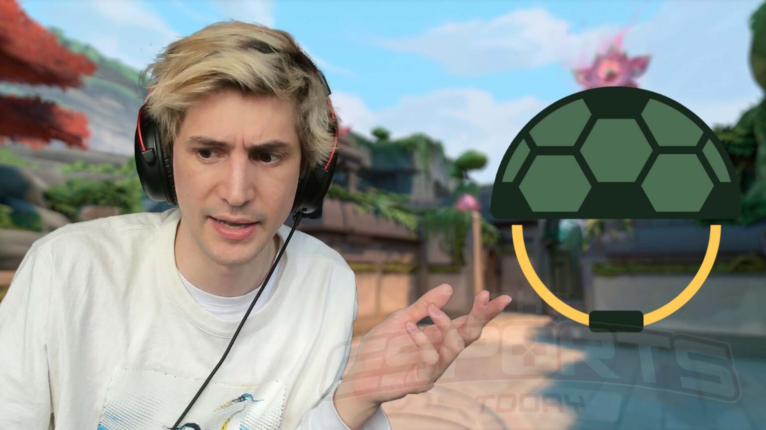 Turtle Troop Valorant: xQc's New Team